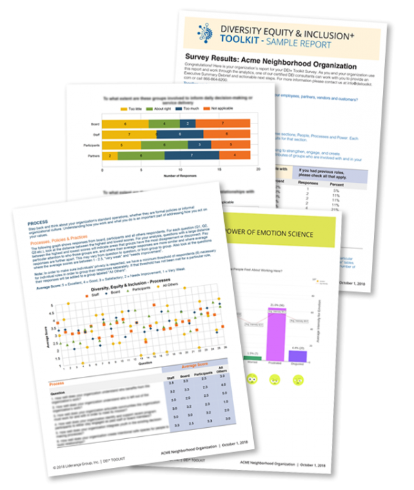 DEI+ Sample Report Download - Diversity Equity Inclusion